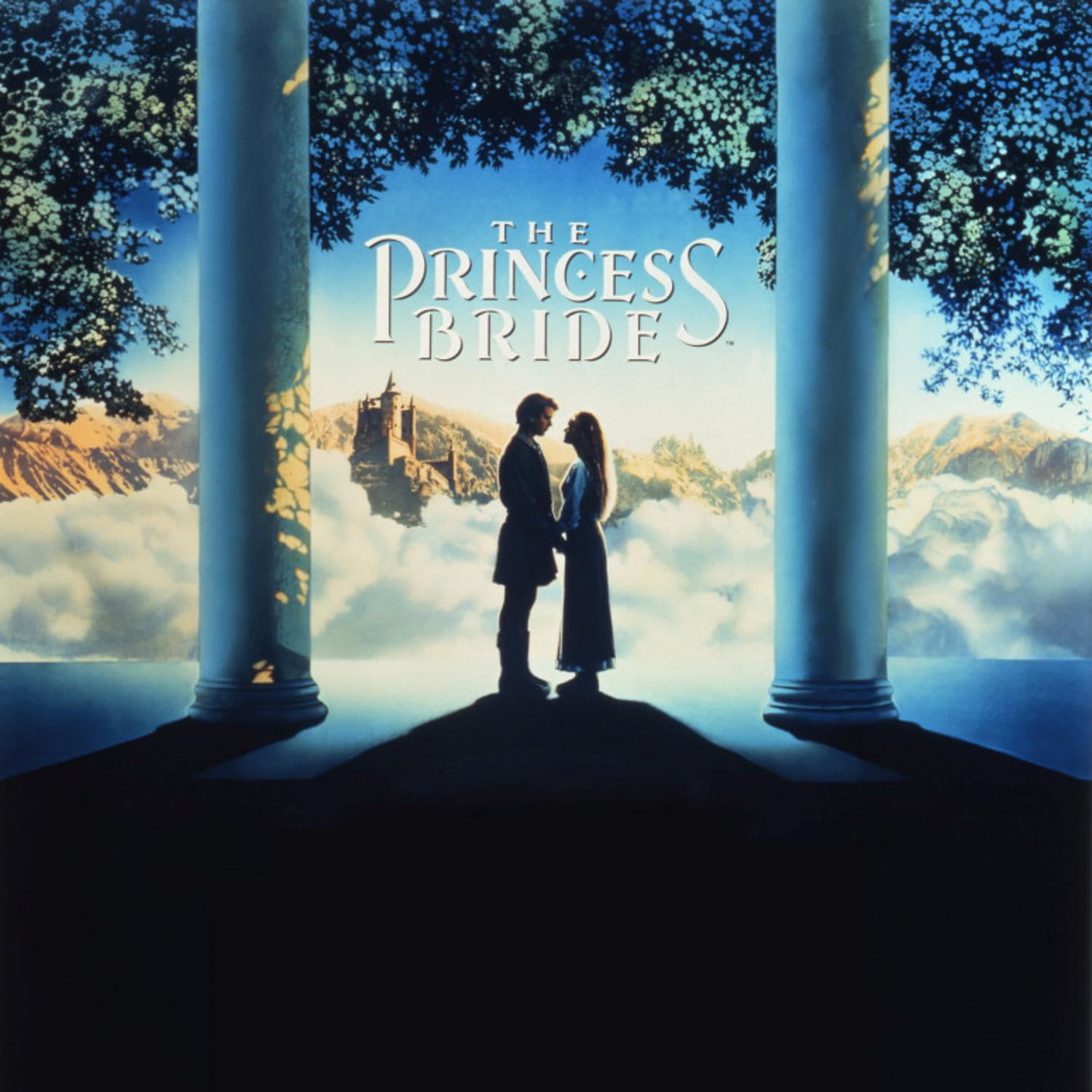 Art.com The Princess Bride Video Cover Art Print, 16" x 16" - Walmart.com