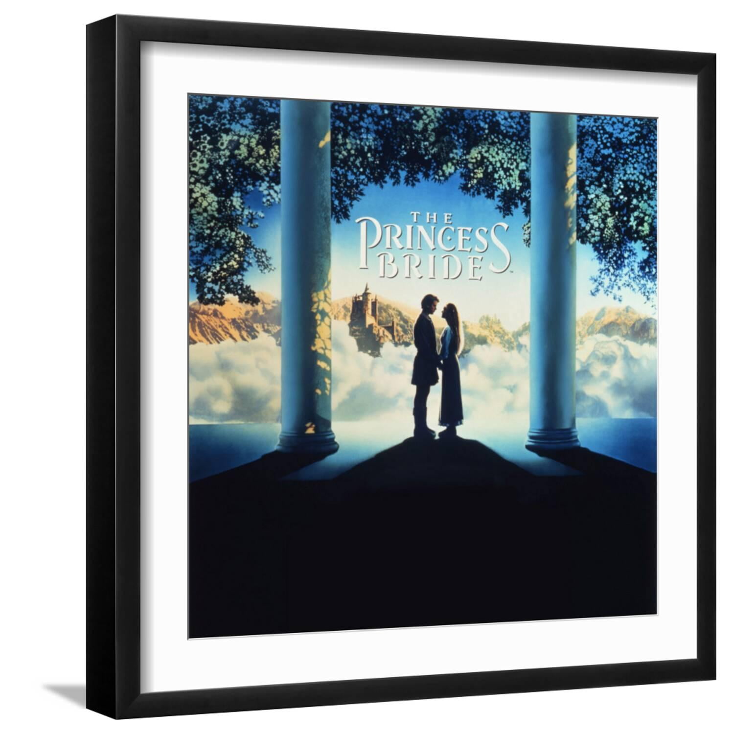 Art.com The Princess Bride Video Cover Art Print, Black Frame Wall Art ...