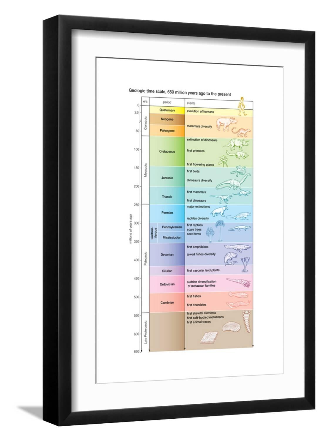 Art.com The geologic time scale from 700,000,000 years ago to the ...