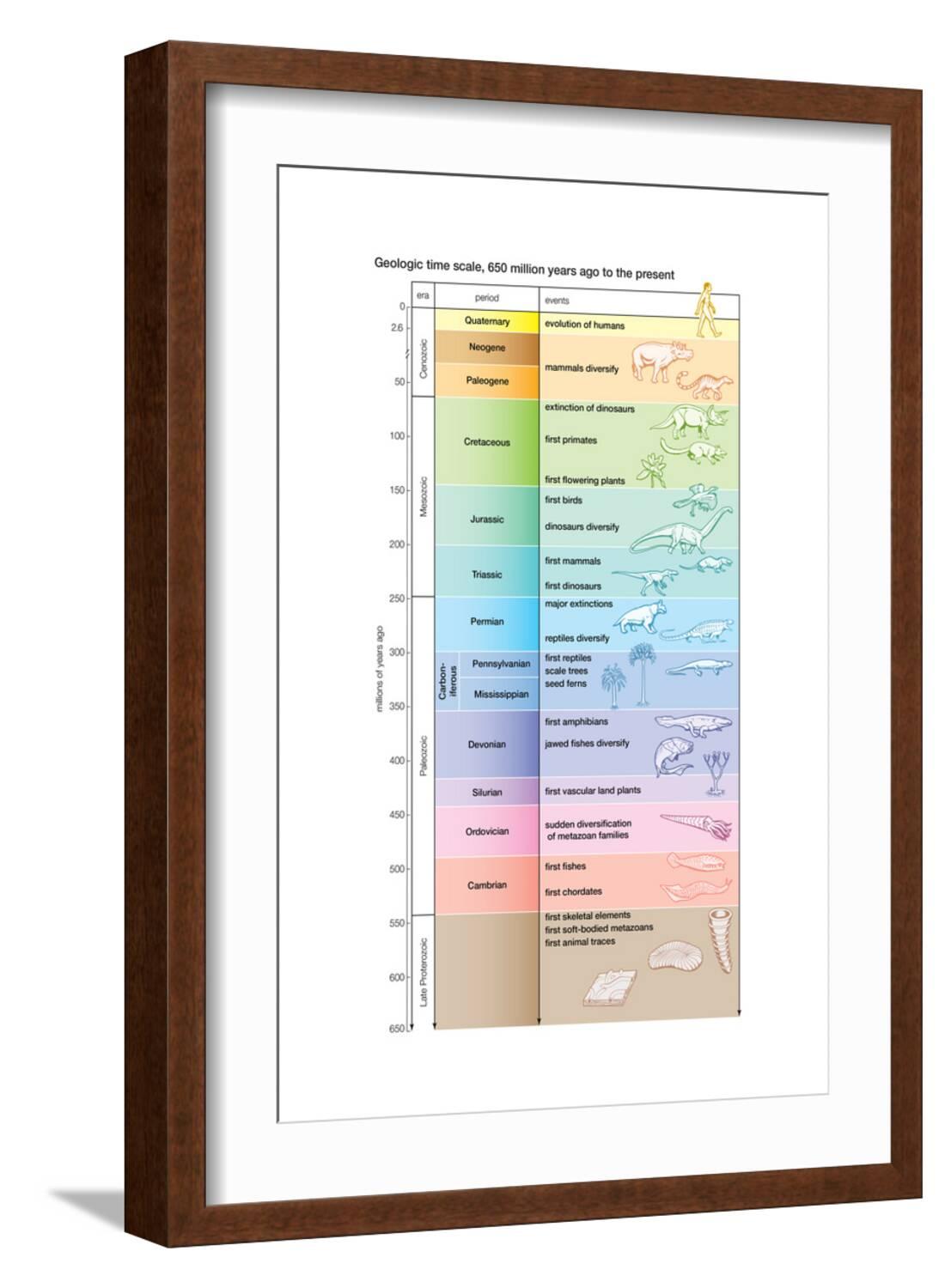 Art.com The geologic time scale from 700,000,000 years ago to the ...