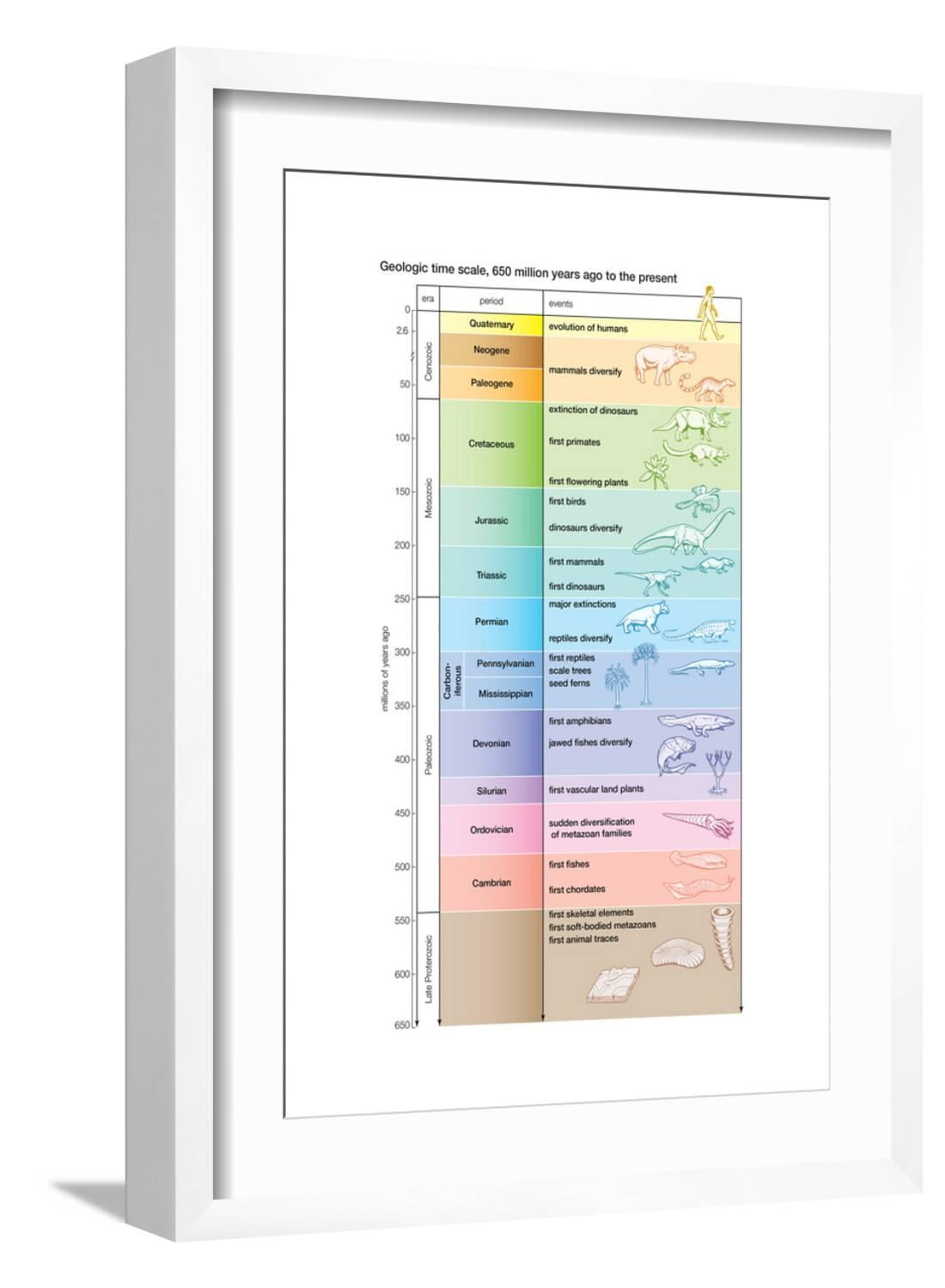 Art.com The geologic time scale from 700,000,000 years ago to the ...