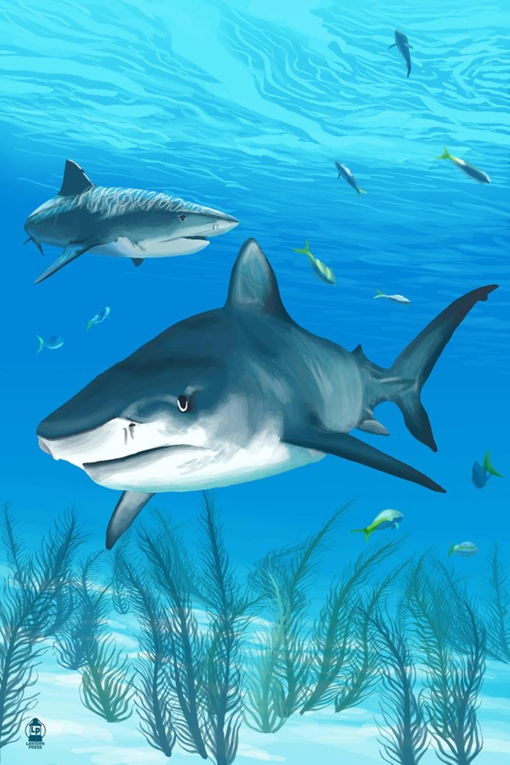 Art.com Tiger Shark Art Print by Lantern Press, 12" x 18" - Walmart.com