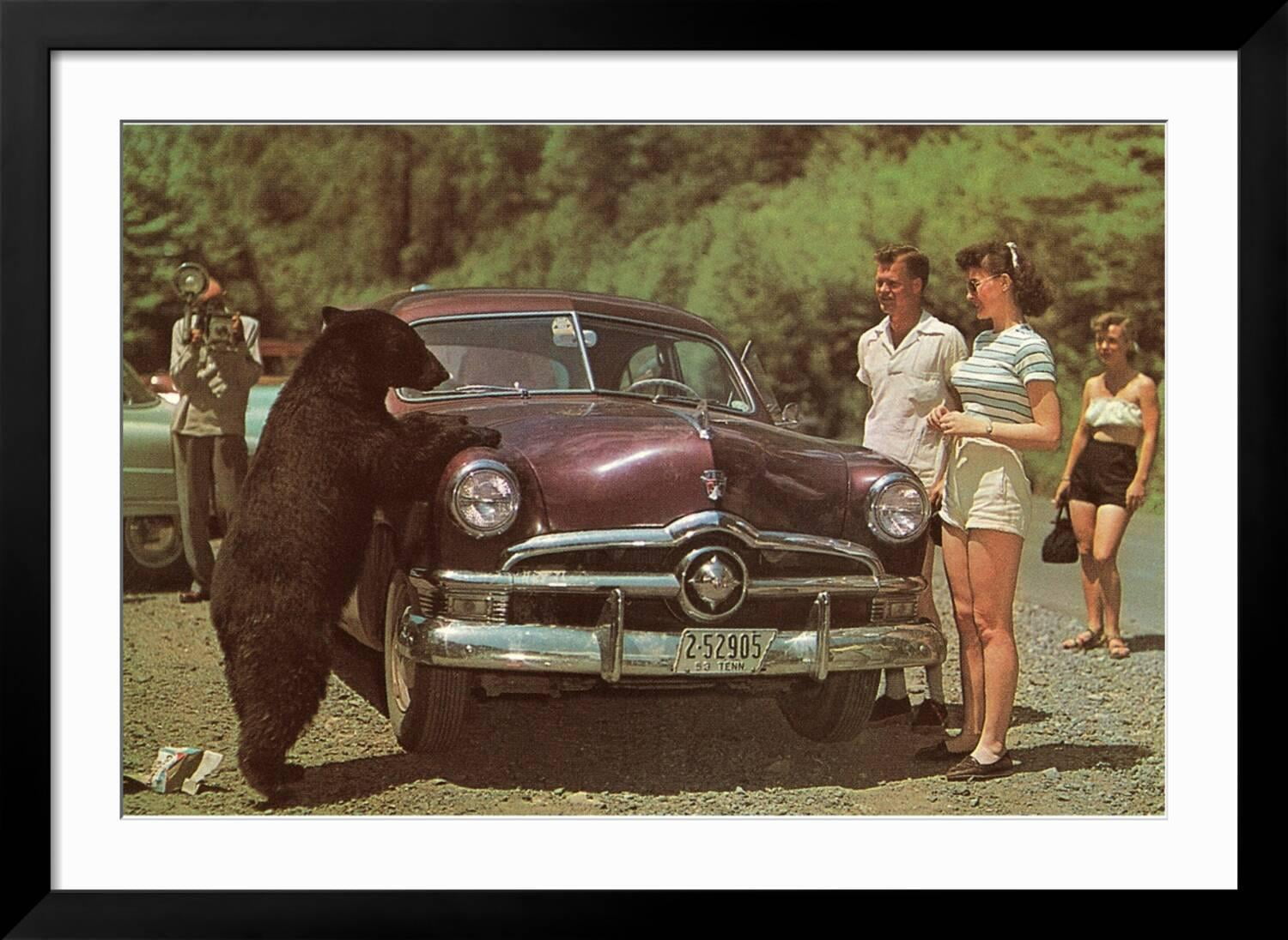 Art.com Tourists Watching Black Bear Art Print, Black Frame Wall Art ...