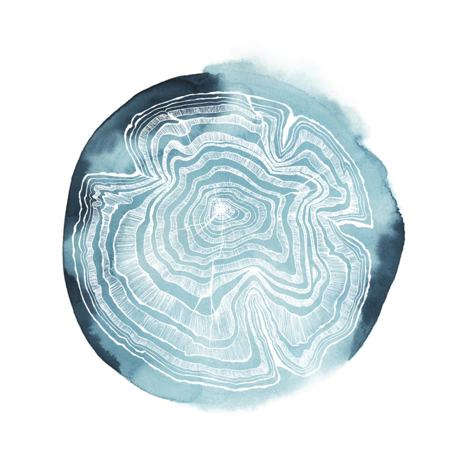 Art.com Tree Ring Overlay IV Art Print by Grace Popp, 30" x 30 ...