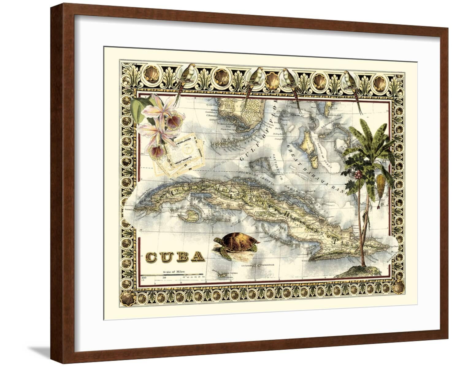 Art.com Tropical Map of Cuba Art Print by Vision Studio, Brown Frame ...