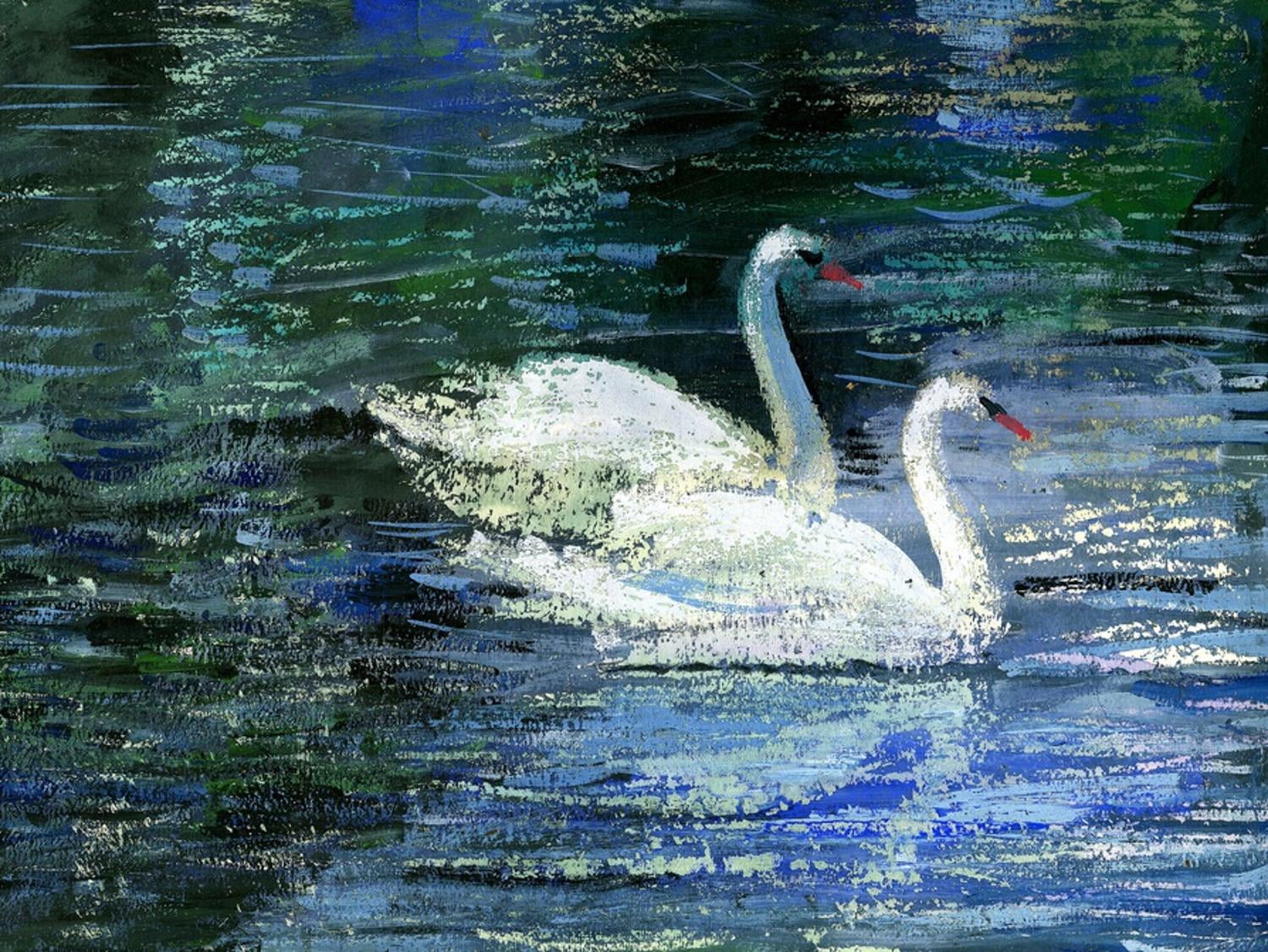 Art.com Two White Swans On Lake Art Print by balaikin2009, 16" x 12 ...