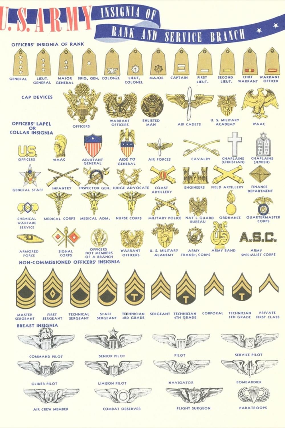 Art.com US Army Rank and Service Insignia Art Print, 24" x 36 ...