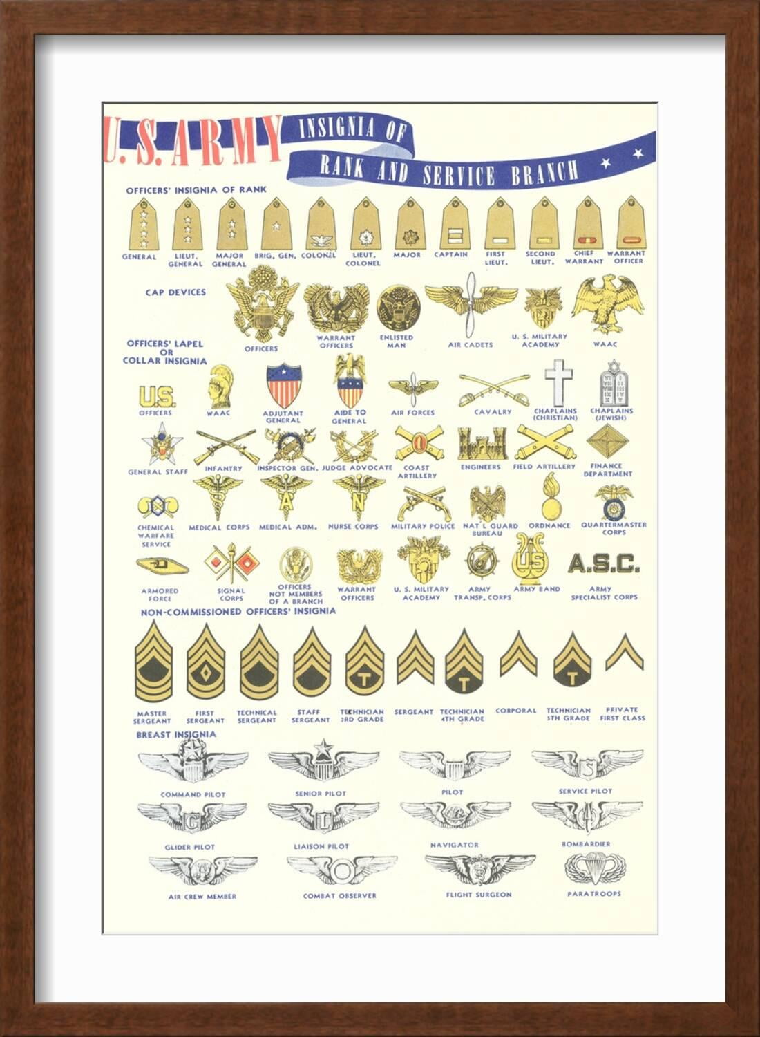Art.com US Army Rank and Service Insignia Art Print, Brown Frame Wall ...
