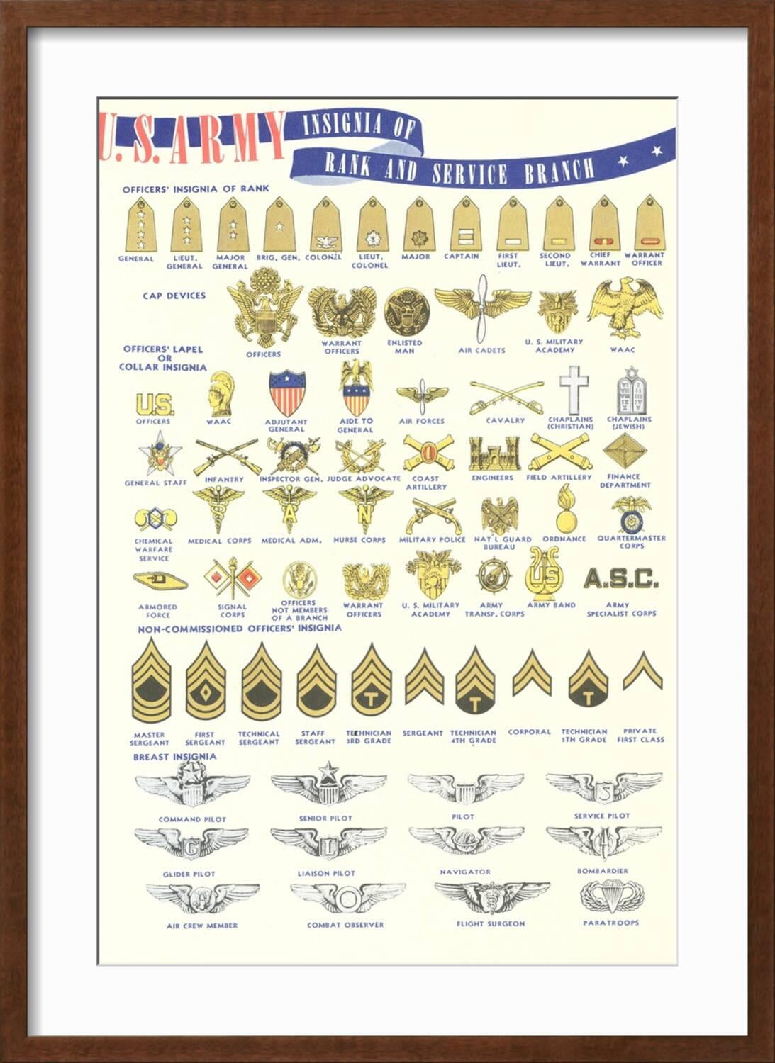 Art.com US Army Rank and Service Insignia Art Print, Brown Frame Wall ...