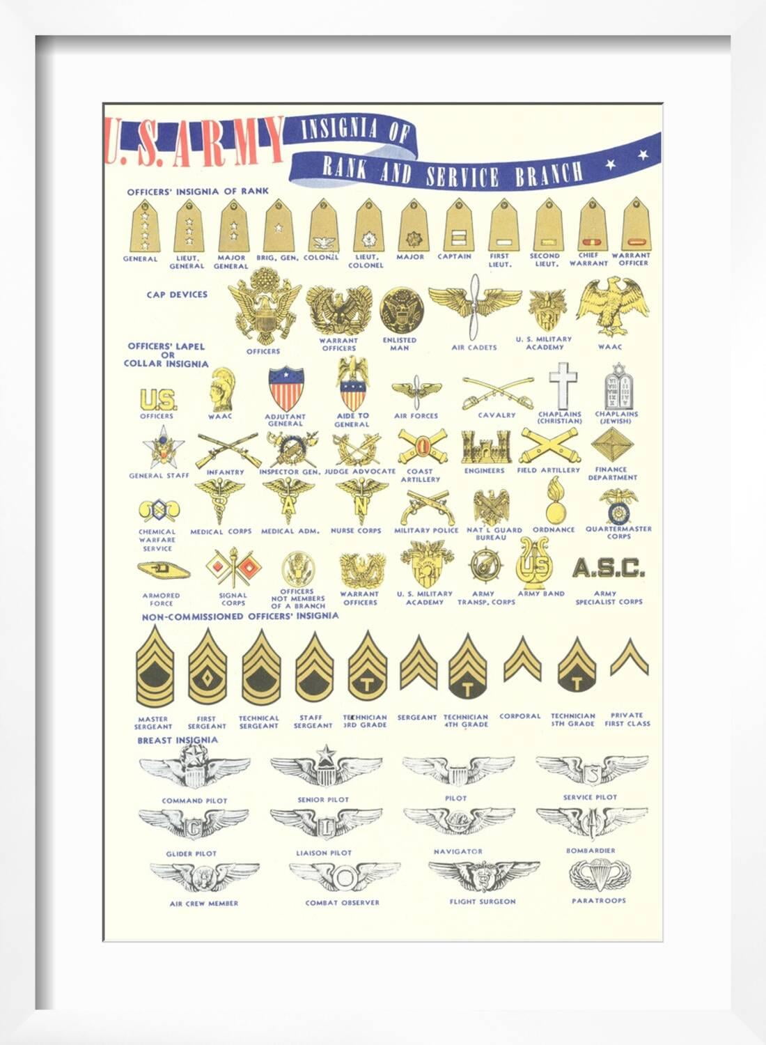 Art.com US Army Rank and Service Insignia Art Print, White Frame Wall ...