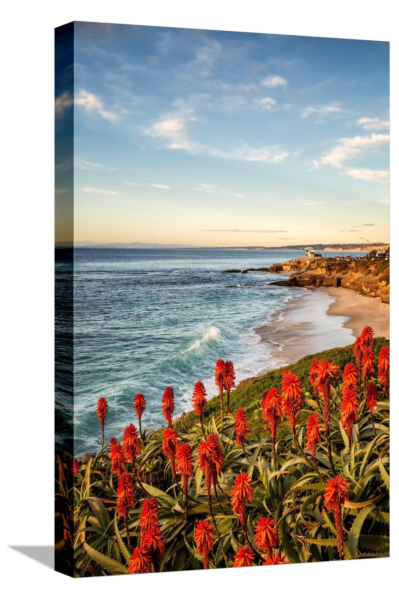 Art.com USA, California, La Jolla. Blooming aloe and Wipeout Beach ...