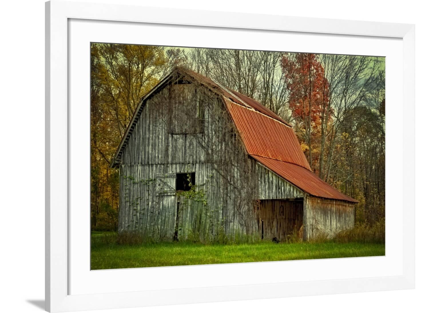 Art.com USA, Indiana. Rural Landscape, Vine Covered Barn with Red Roof ...