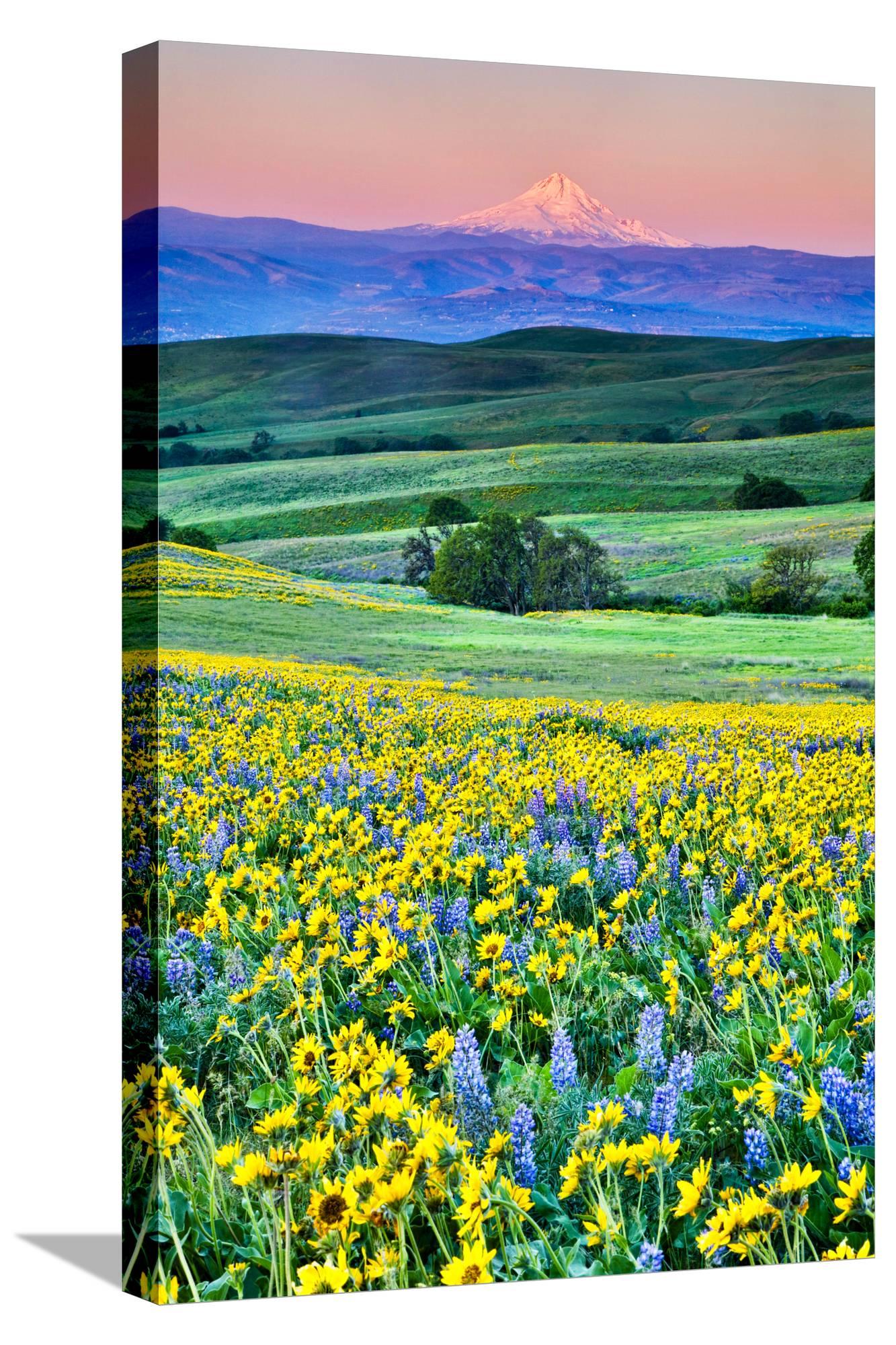 Art.com USA, Oregon, Columbia River Gorge landscape of field and Mt ...