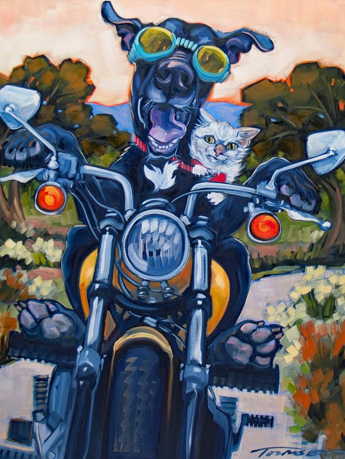 Art.com Under an Orange Sky Art Print by Connie R. Townsend, 12" x 16 ...