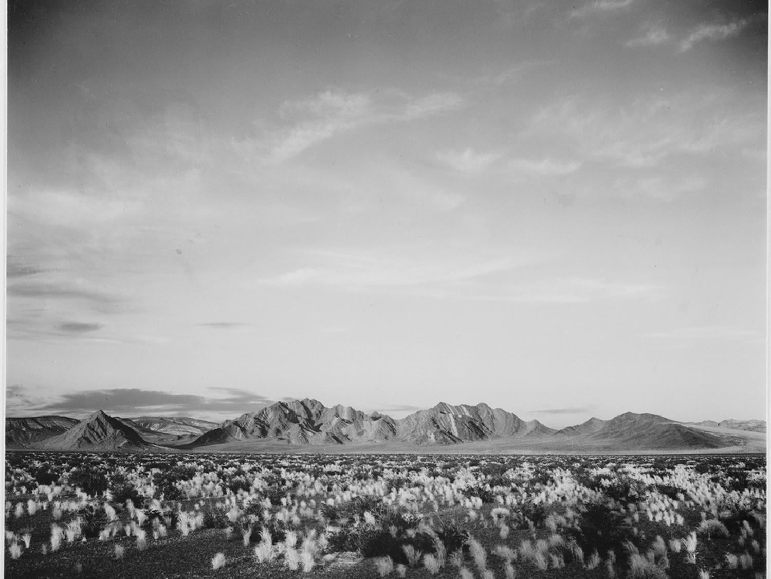Art.com View Of Mts Desert Shrubs Highlighted Fgnd, Death Valley ...