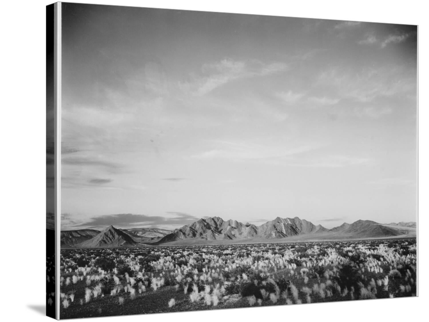 Art.com View Of Mts Desert Shrubs Highlighted Fgnd, Death Valley ...