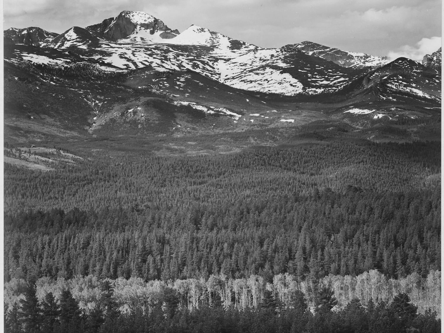 Art.com View Of Trees And Snow-Capped Mts Long's Peak From Road Rocky ...