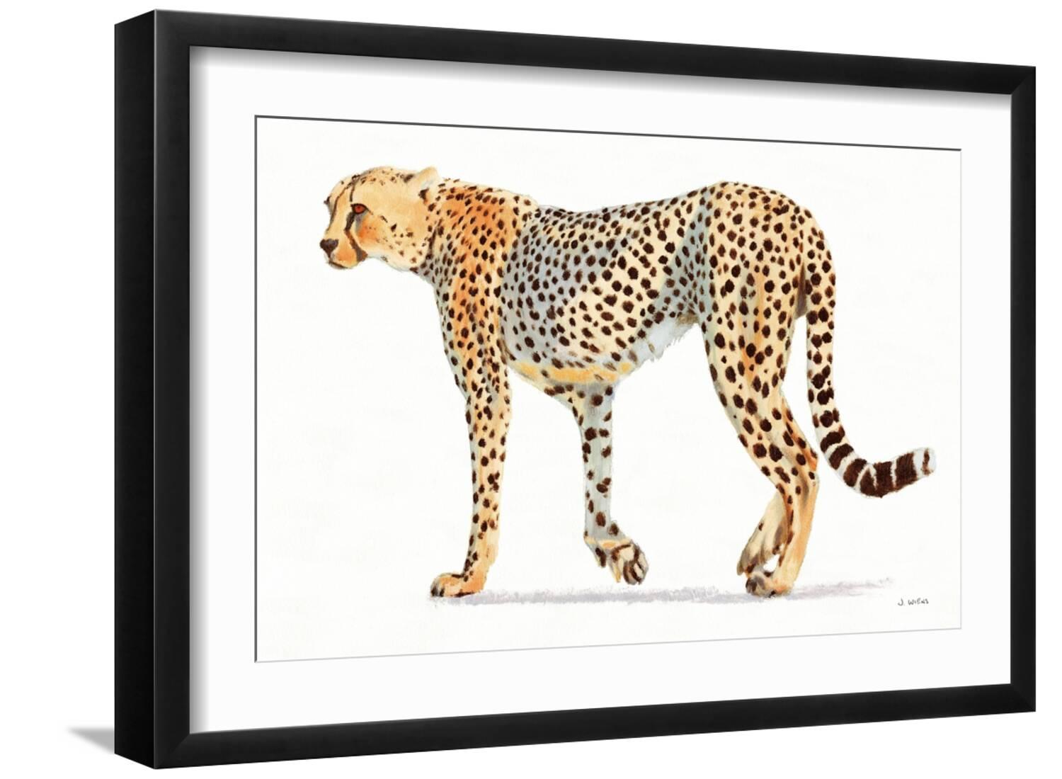 Art.com Wild and Free VII Bold Art Print by James Wiens, Black Frame ...