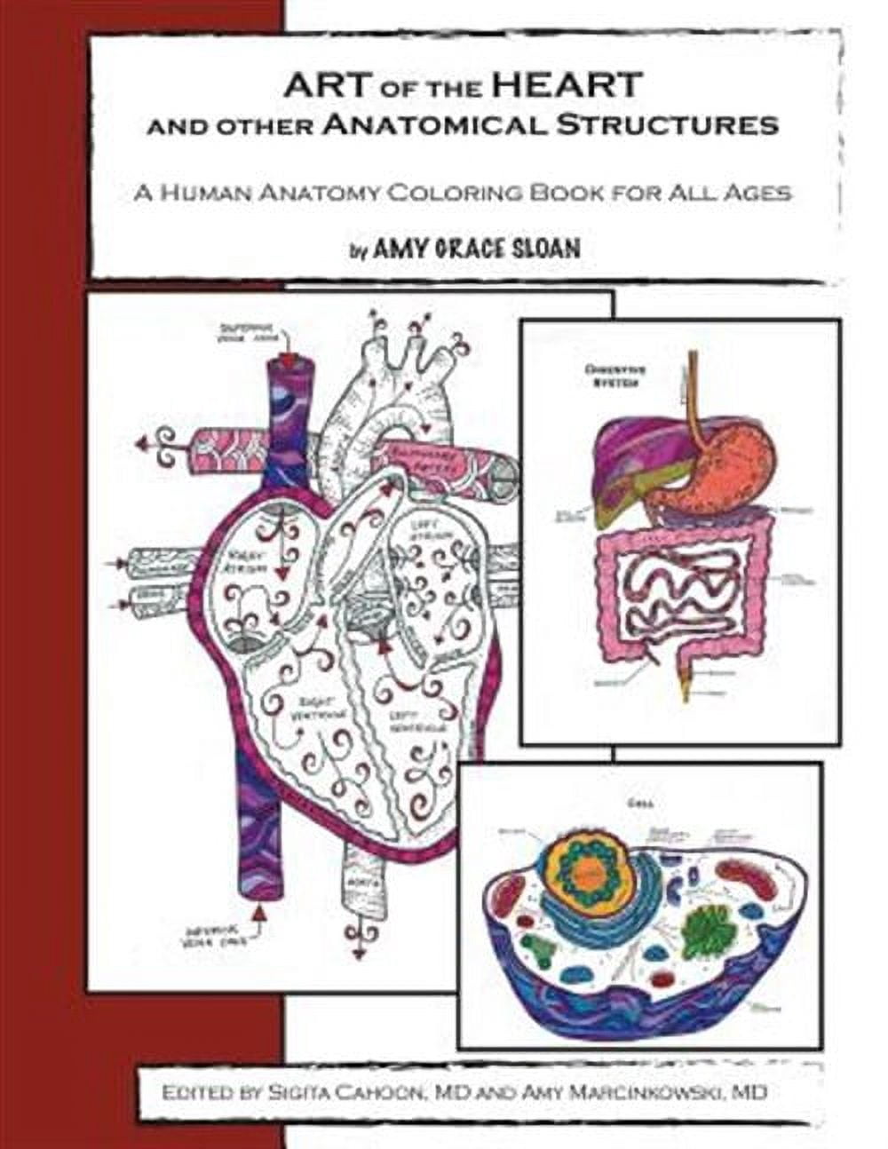 Art of the Heart and Other Anatomical Structures : A Human Anatomy ...