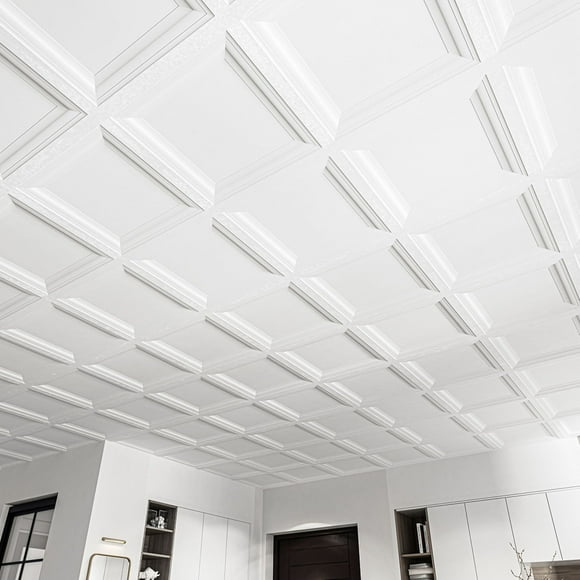 Ceramaguard Ceiling Tile