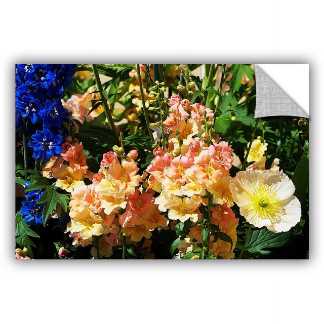 ArtAppealz Allan Friedlander "Pink Poppy" Removable Wall Art - Walmart.com