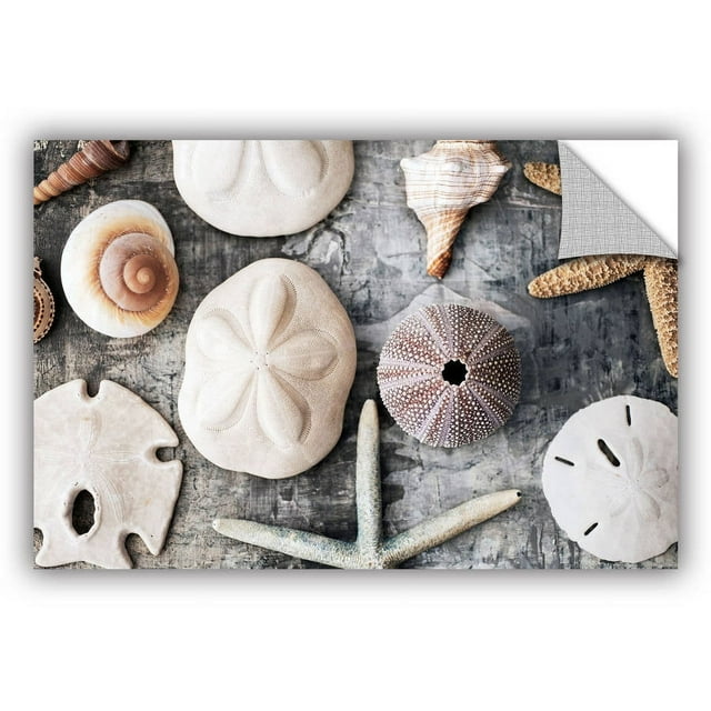ArtAppealz Elena Ray "Treasures From The Sea" Removable Wall Art ...