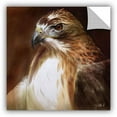 ArtAppealz Steve Goad "Red-Tailed Hawk" Removable Wall Art - Walmart.com