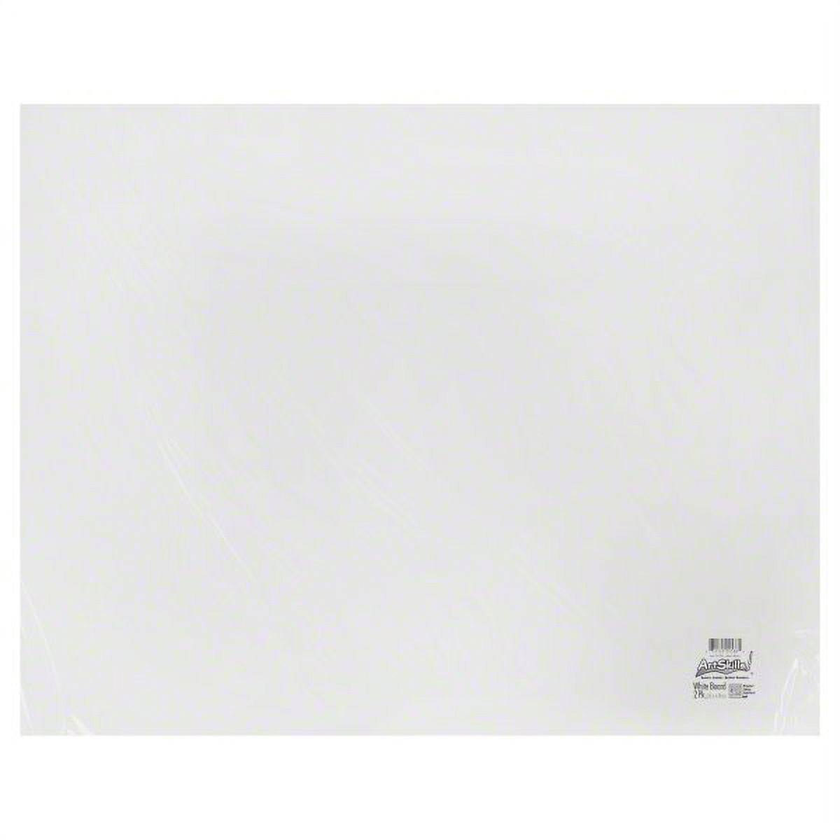 Posterboard 22"X28" 2/Pkg-White, Pk 12, Artskills - Walmart.com