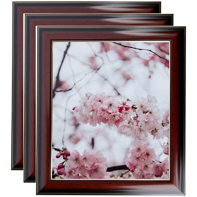 ArtToFrames 10" x 17" Matte Mahogany with Gold Accent Diploma Picture ...