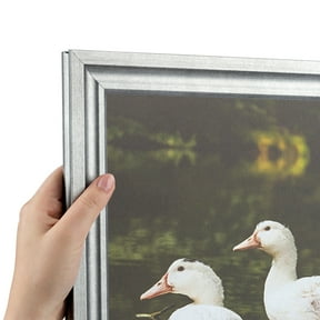 10x24 Frame