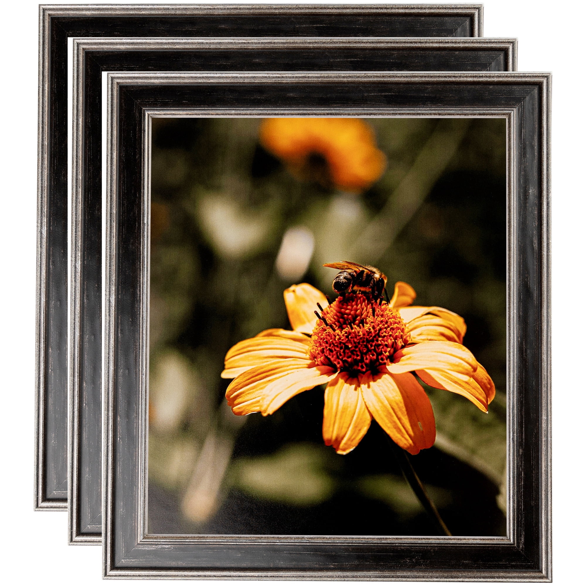 ArtToFrames 11" x 14" Black Panel With Silver Lip Picture Frame, 11x14 ...