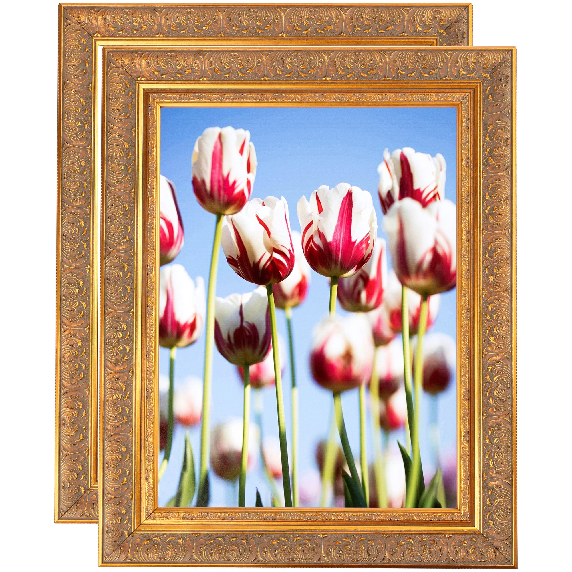 ArtToFrames 11" x 21" Wide Gold with Green Tones Picture Frame, 11x21 ...