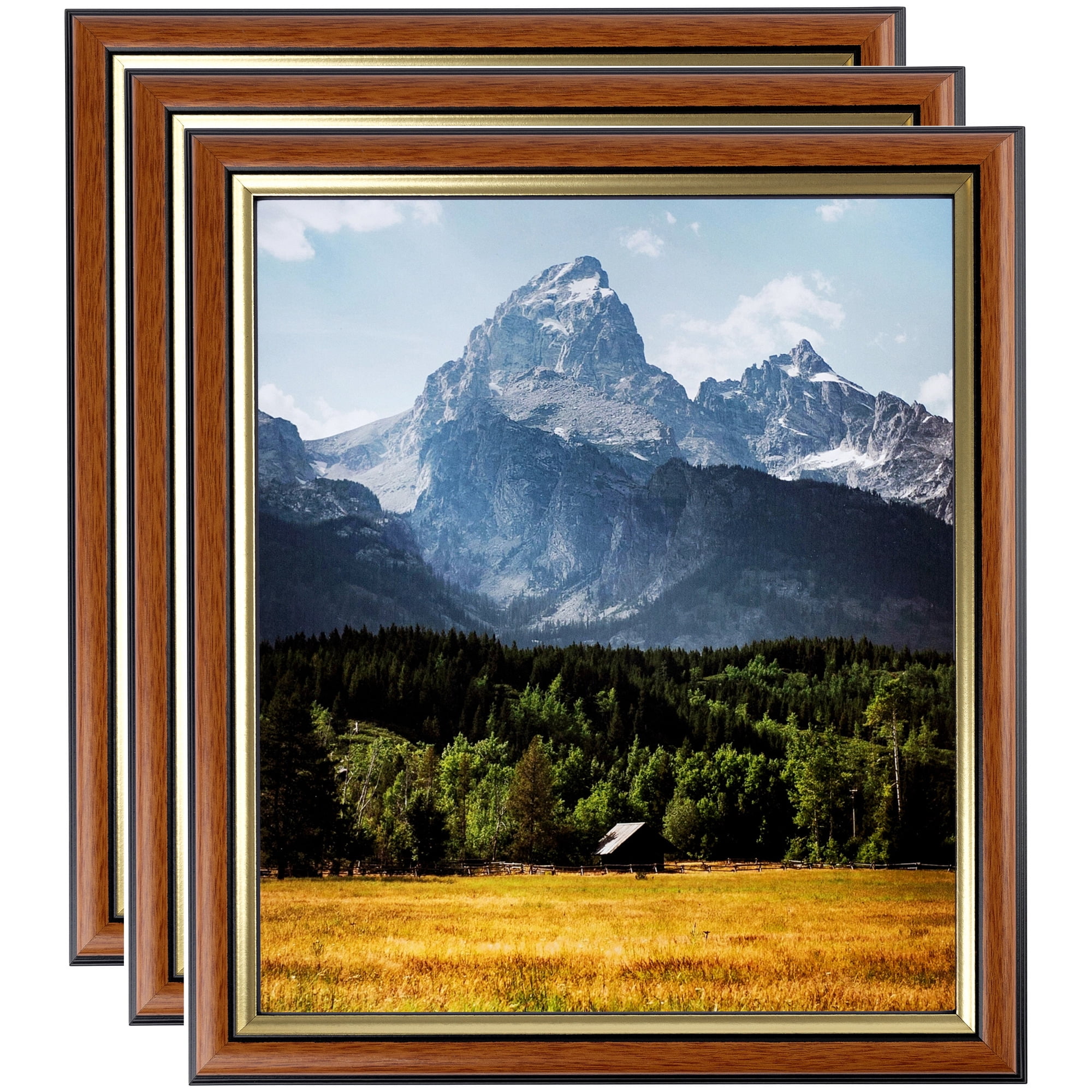 ArtToFrames 12" x 14" Honey with Gold Picture Frame, 12x14 inch Brown ...