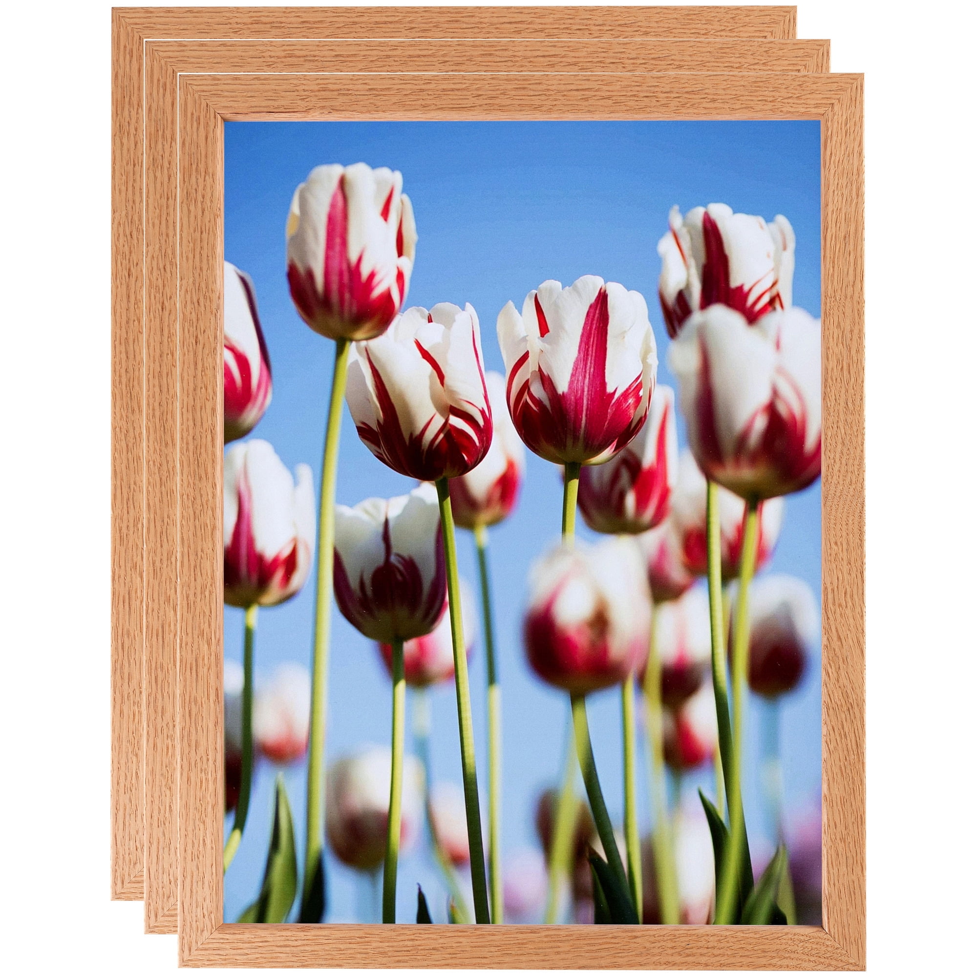 ArtToFrames 12" x 16" Red Oak Wood Picture Frame, 12x16 inch Brown Wood ...