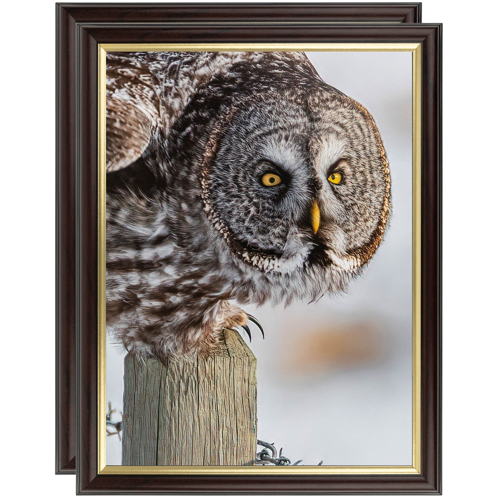ArtToFrames 12" x 18" Mahogany and Gold Slope Picture Frame, 12x18 inch ...