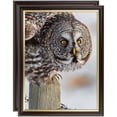 ArtToFrames 12" x 18" Mahogany and Gold Slope Picture Frame, 12x18 inch ...