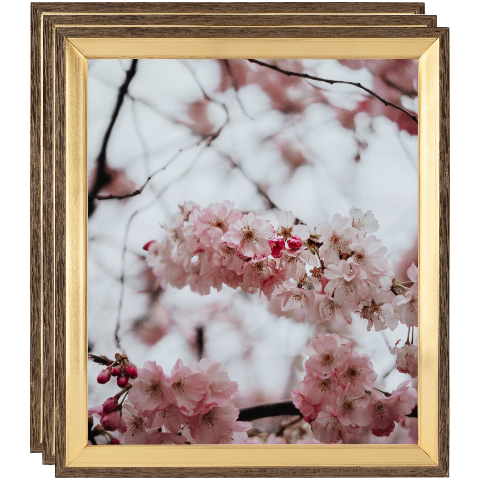 ArtToFrames 15" x 18" Gold And Stained Brown Picture Frame, 15x18 inch ...