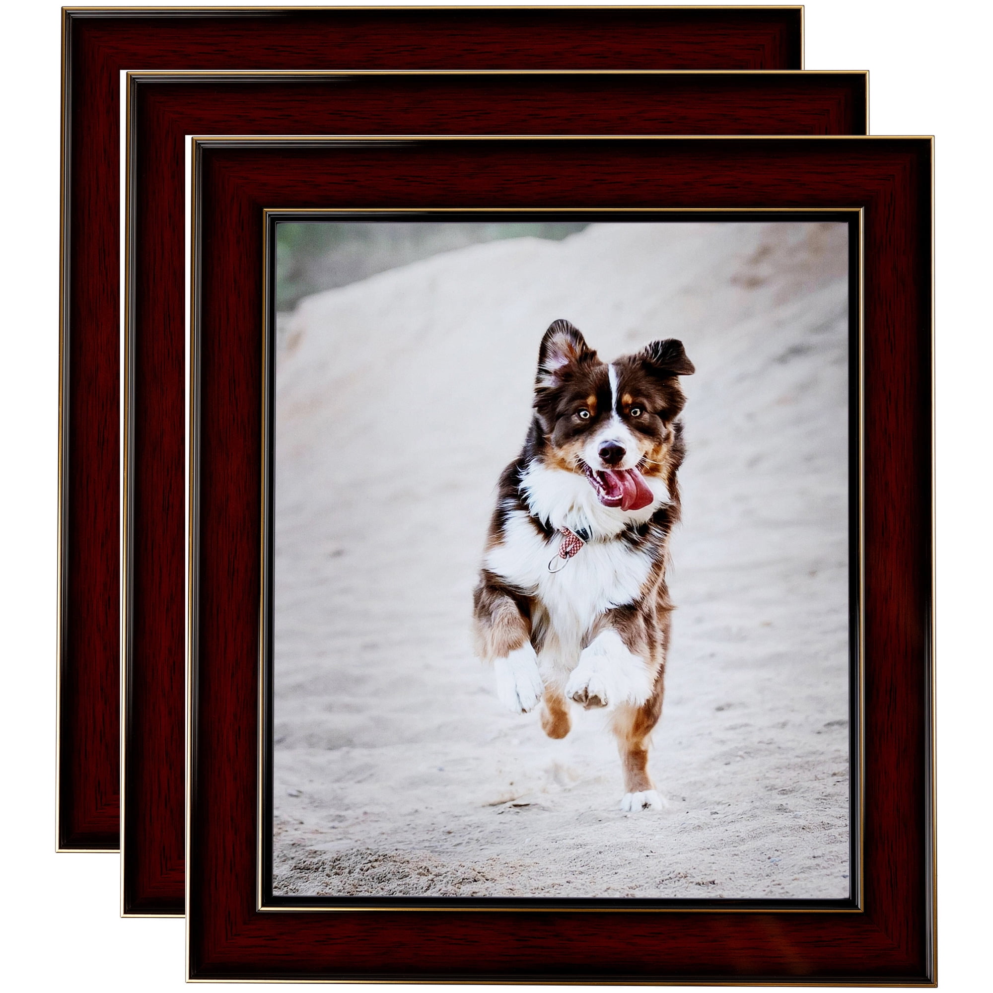 ArtToFrames 16" x 16" Honors Mahogany with Gold Picture Frame, 16x16 ...