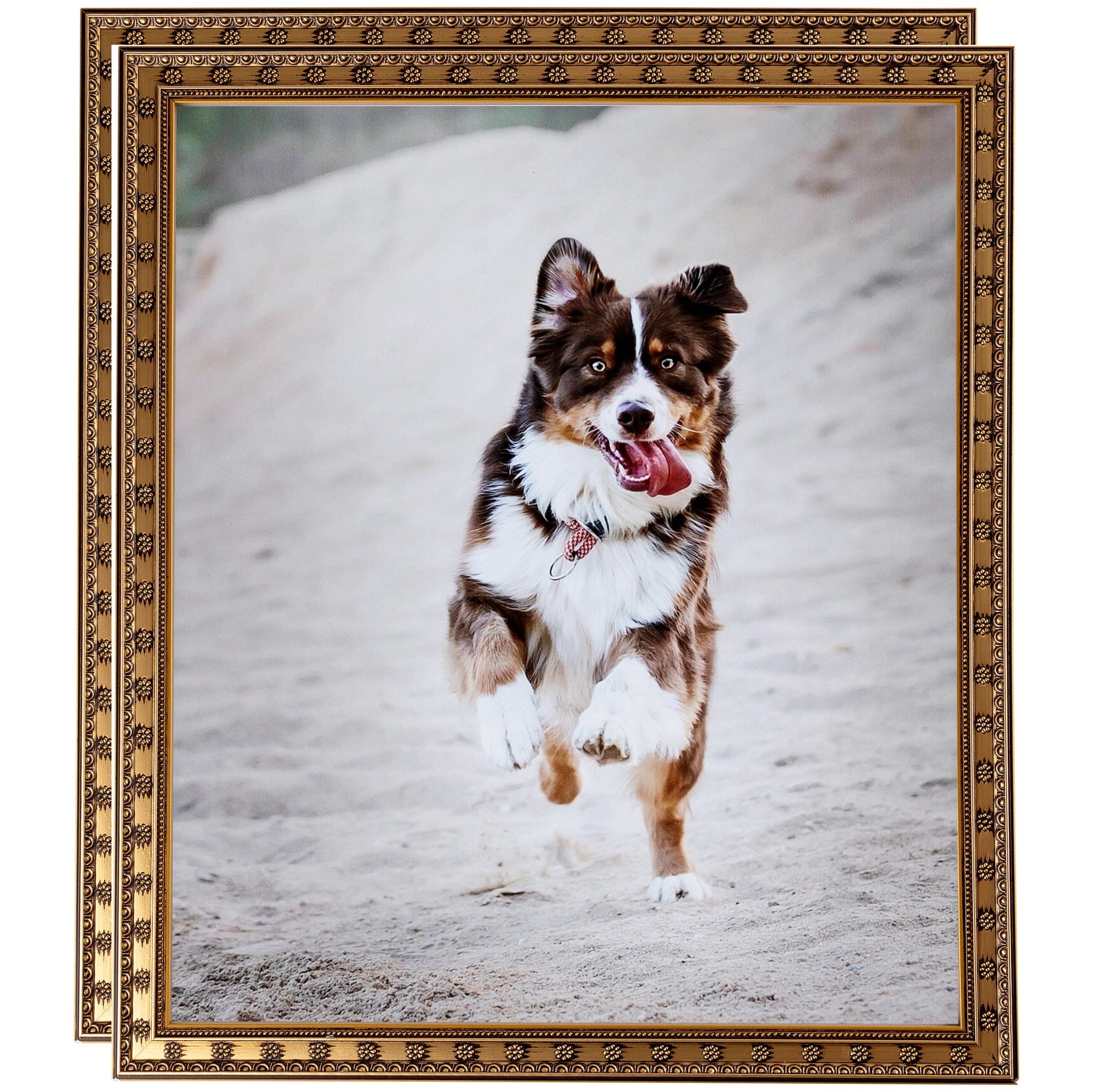 ArtToFrames 16" x 20" Gold with Star Picture Frame, 16x20 inch Gold ...