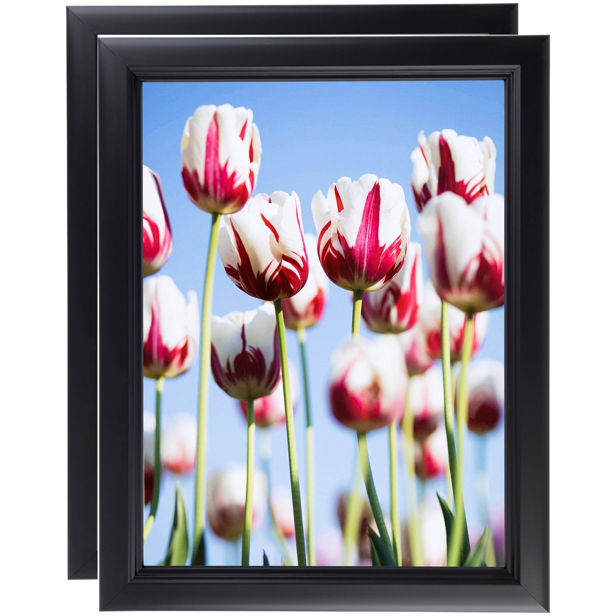 ArtToFrames 16" x 20" Satin Black Double Step Lip Picture Frame, 16x20 ...