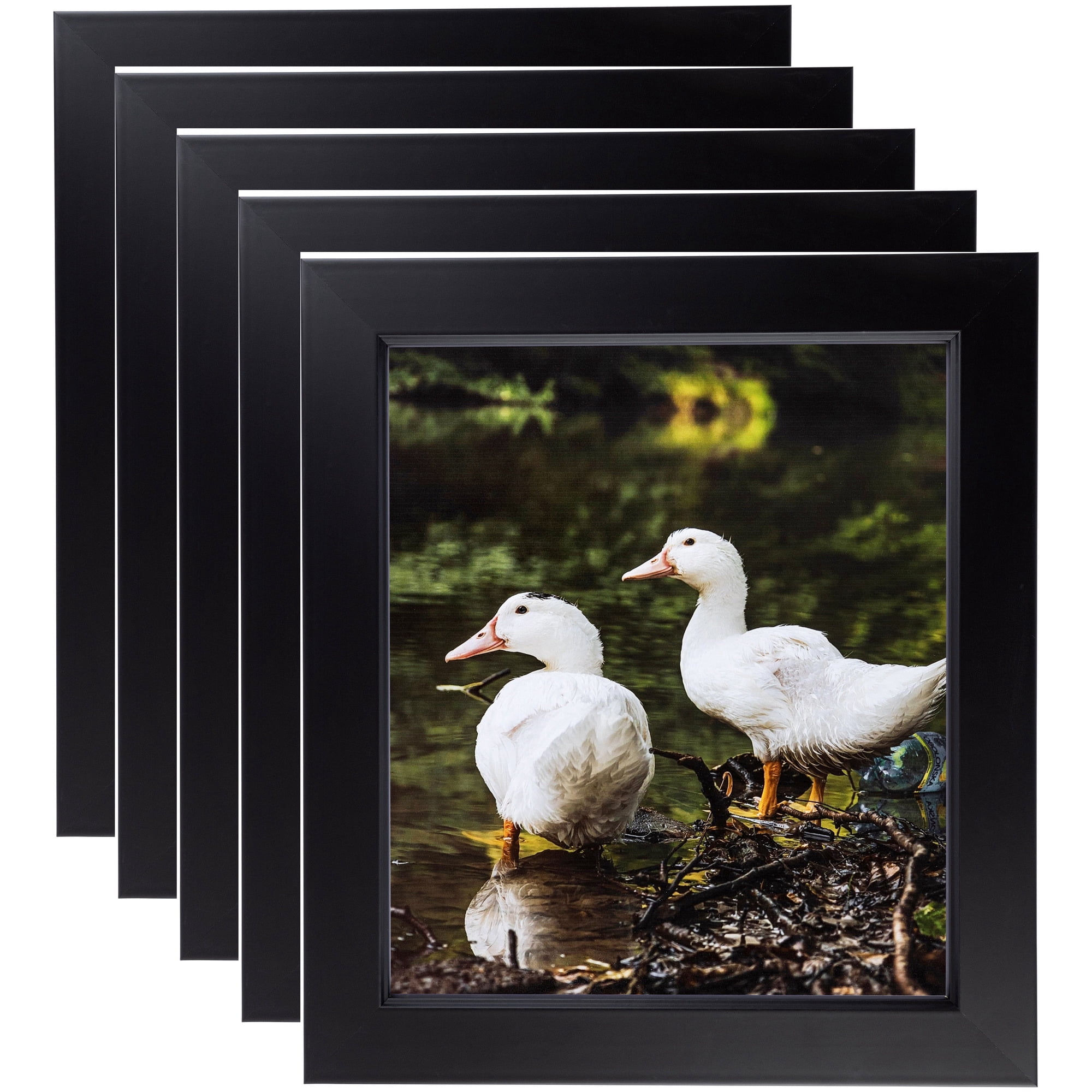 ArtToFrames 16" x 20" Satin Black Step Lip Picture Frame, 16x20 inch ...