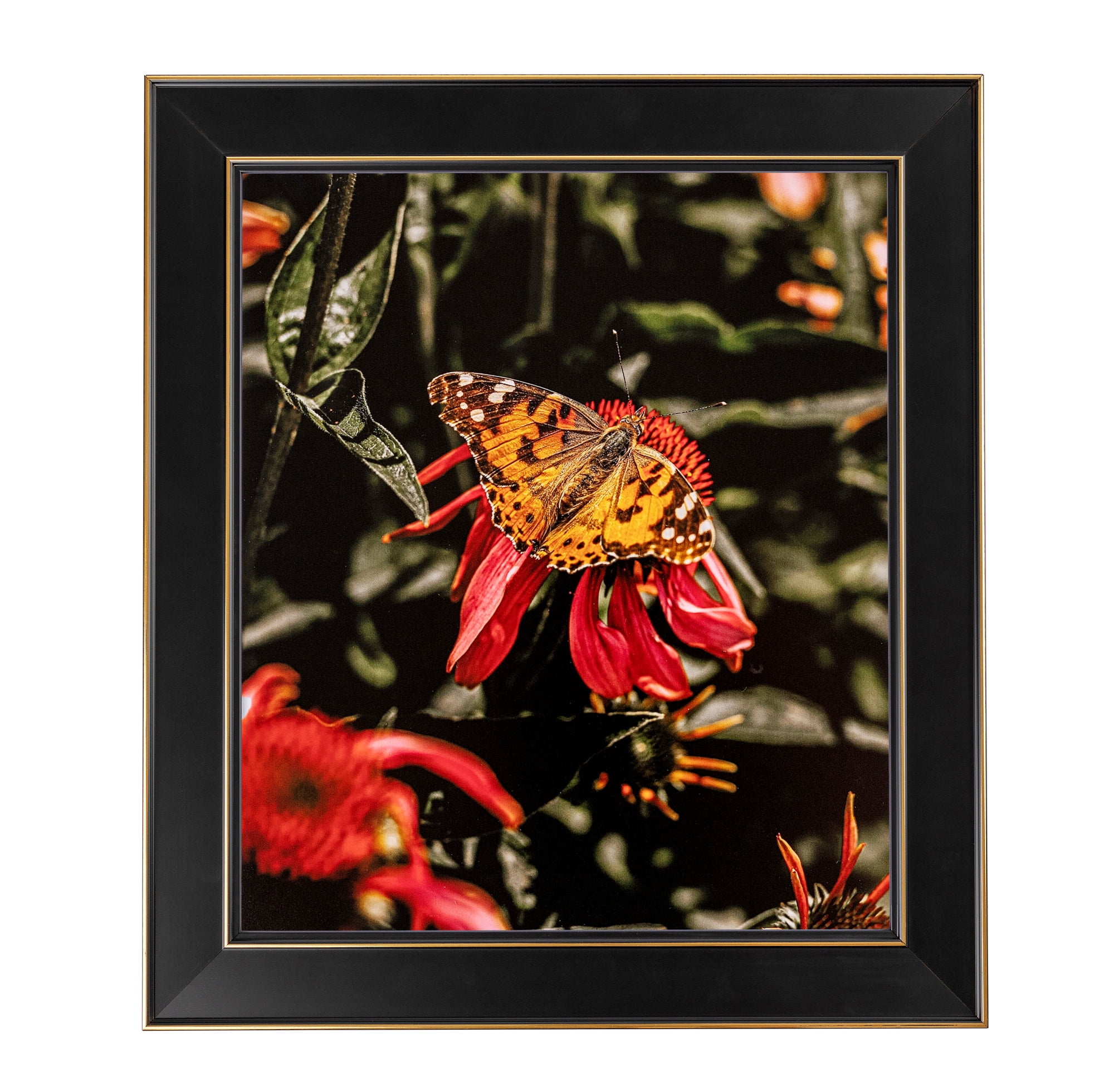 ArtToFrames 16x32" Honors Black with Gold Picture Frame, Black Wood ...