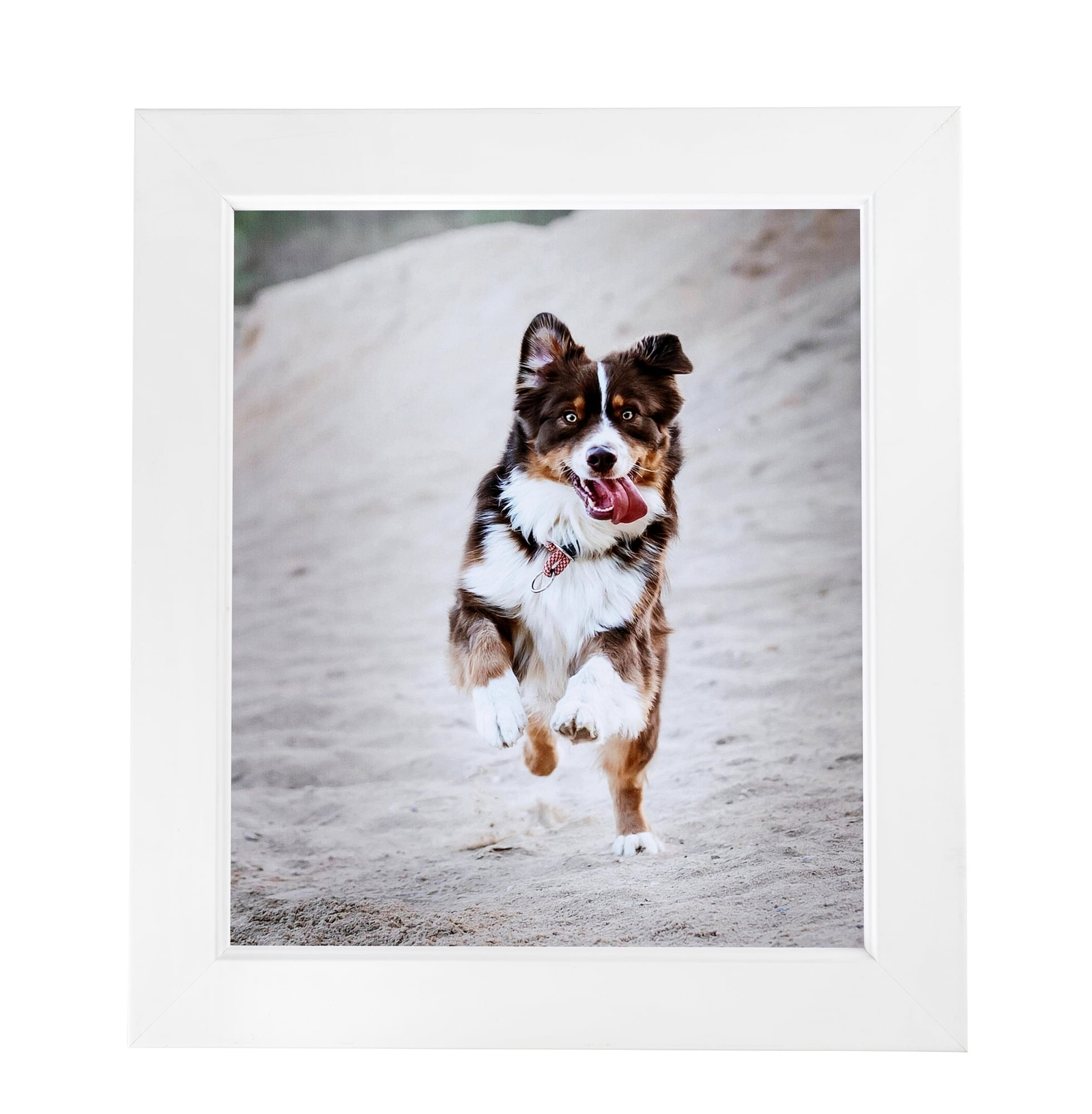 ArtToFrames 24" x 30" Contemporary White with Lip Picture Frame, 24x30 ...