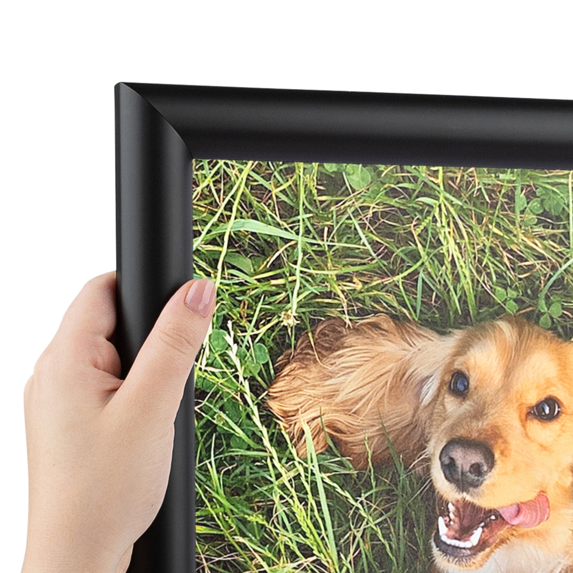 ArtToFrames 4" x 10" Satin Black Bull Nose Picture Frame, 4x10 inch ...