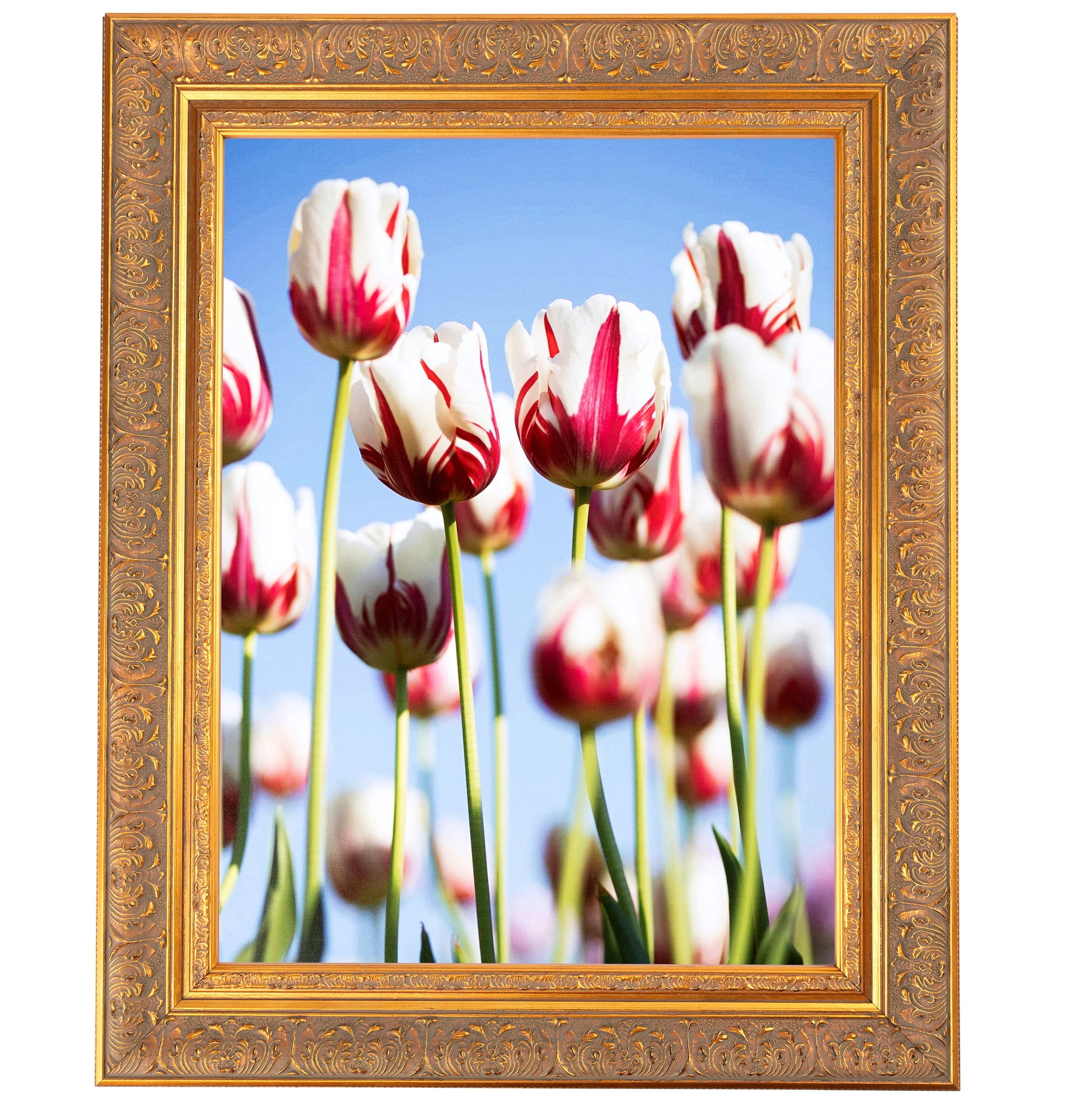 ArtToFrames 5x34" Wide Gold with Green Tones Picture Frame, Gold Wood ...