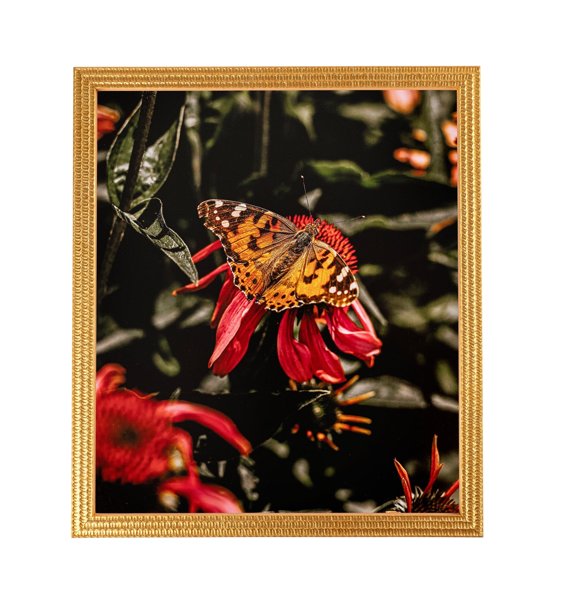 ArtToFrames 6" x 8" Bright Gold Picture Frame, 6x8 inch Gold Wood ...