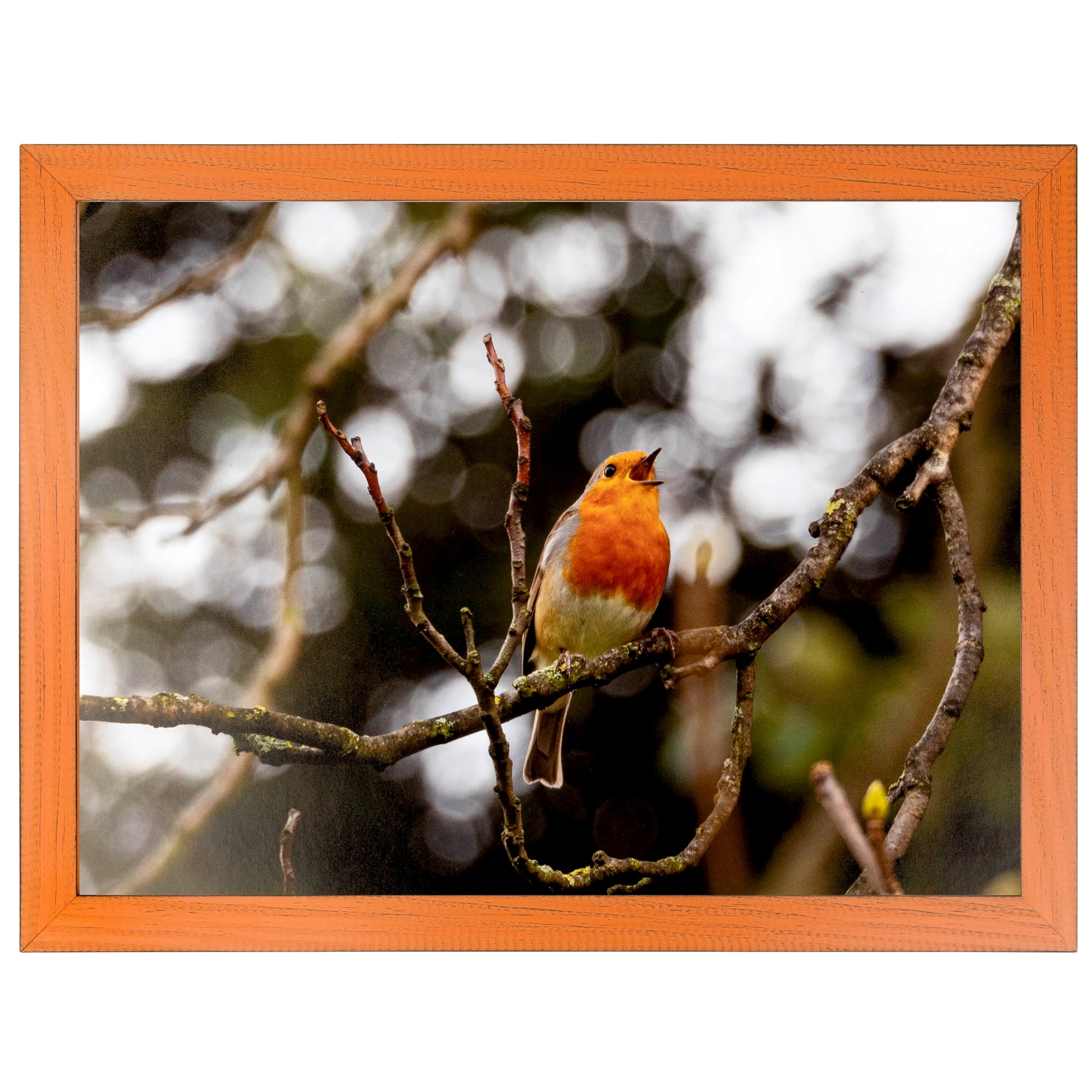 ArtToFrames 8x24" Orange Picture Frame, Red Wood Poster Frame, with ...