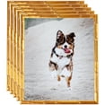 ArtToFrames 9" x 9" .75 Picture Frame, 9x9 inch Gold Wood Poster Frame ...