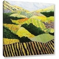 ArtWall Allan Friedlander "Delta Fields" Gallery-Wrapped Canvas ...