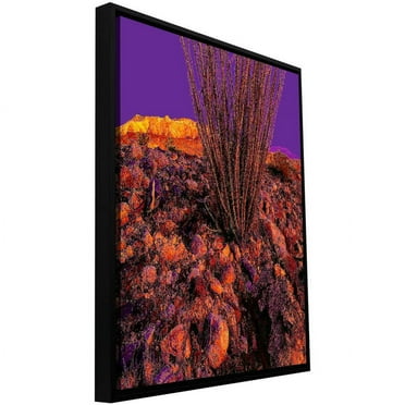 Samuel Dunn "Mappe-Monde Carte Universelle De La Terre Dressee" Floater-Framed Gallery-Wrapp ...